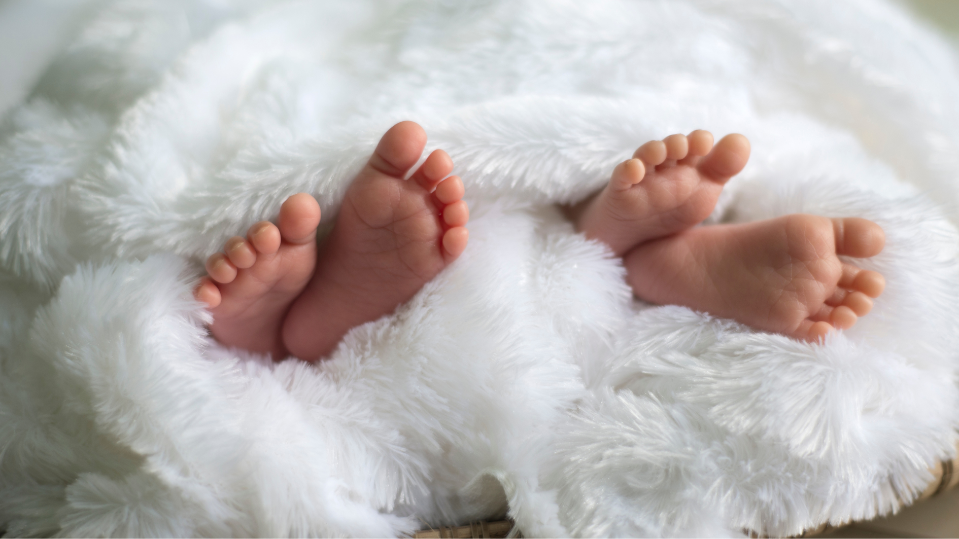 Good Pairings:Why Immunoglobulin and Ovarian Bloom are a Perfect Pairi ...