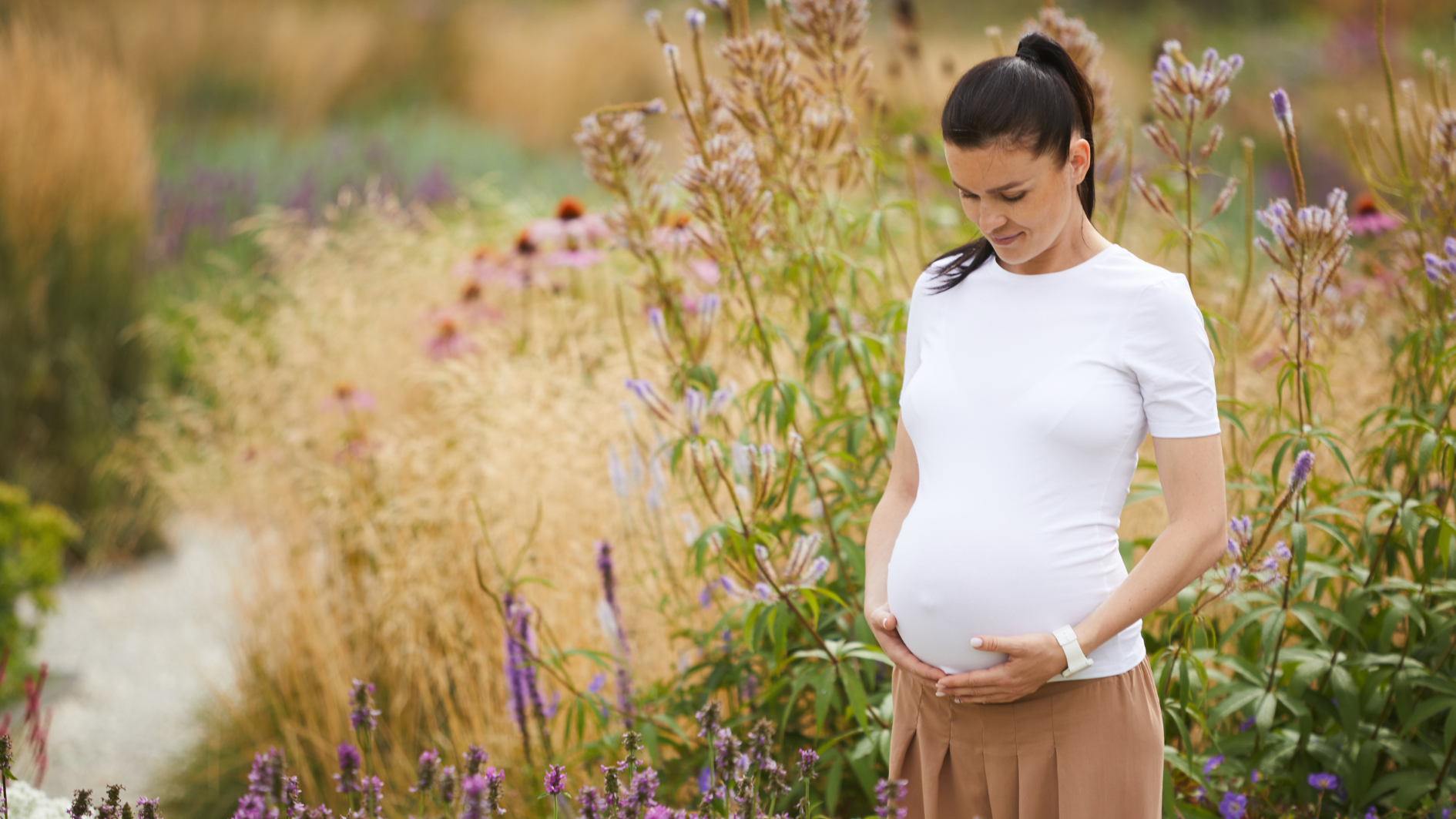 Why a Strong Immune System is Your Secret Fertility Weapon – Molecular ...